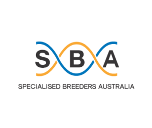 Hy-Line Brown – SBA